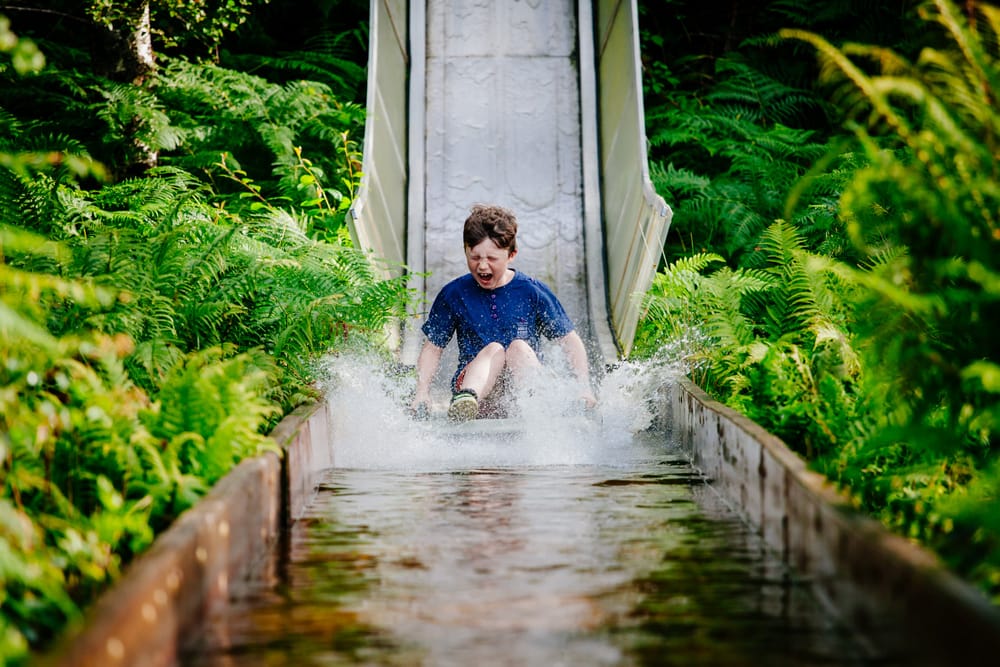 Best Hiking Trails in Wicklow: Your Complete Guide to the Garden of Ireland